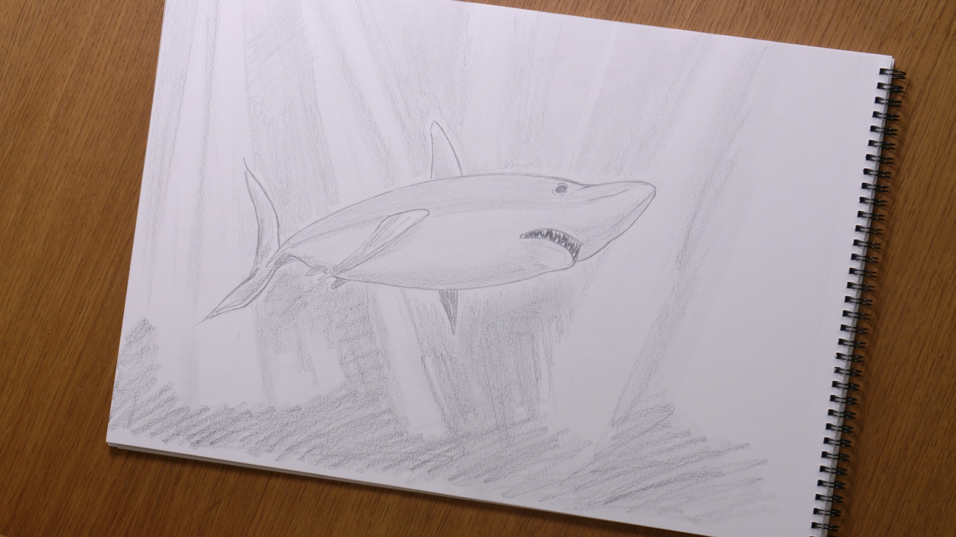 Dessiner un requin - Museum TV