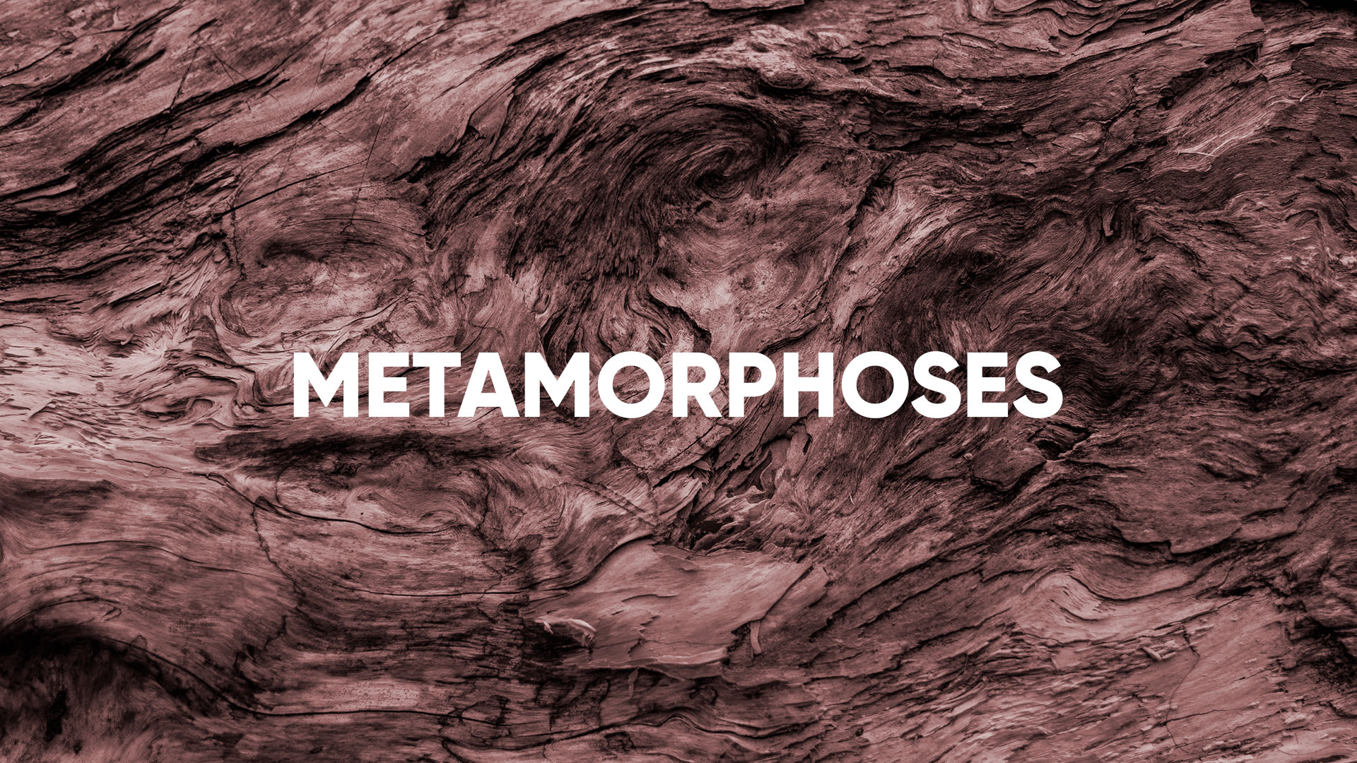 Metamorphoses - Museum TV