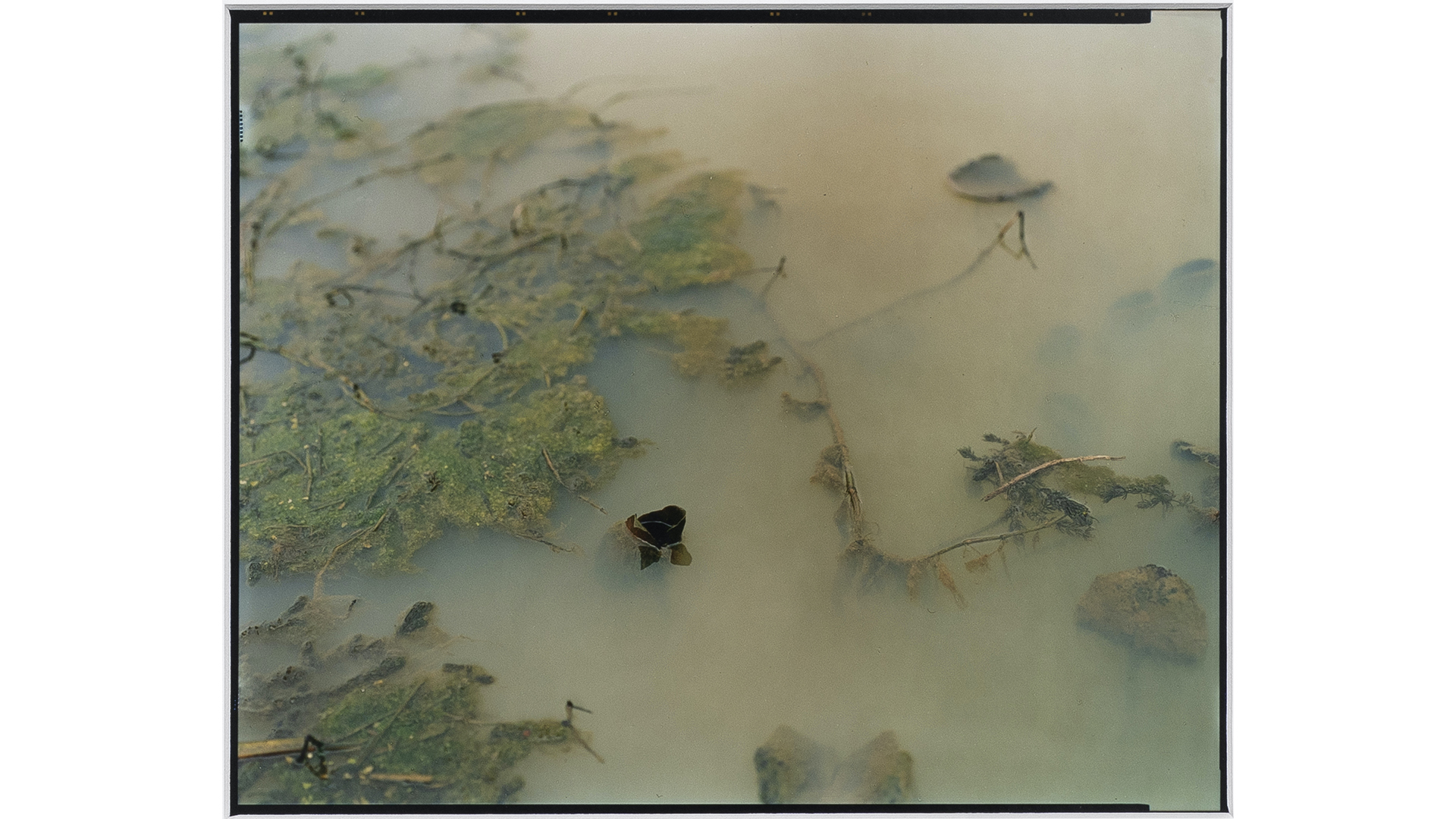 Galerie Dilecta - "Contacts" par Eric Poitevin - Museum TV