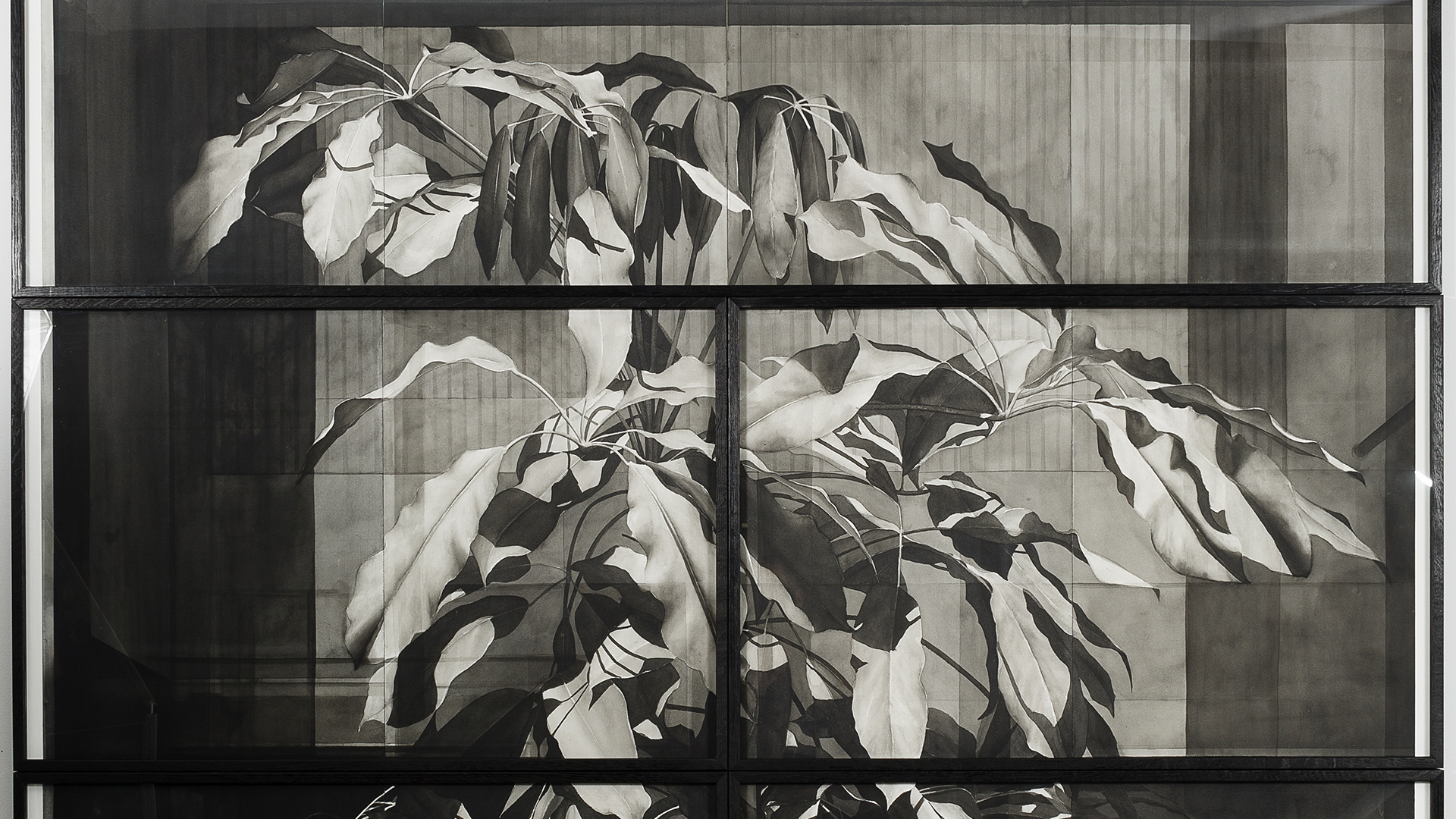 Paris-B - "Plante en vitrine" par Justin Weiler - Museum TV