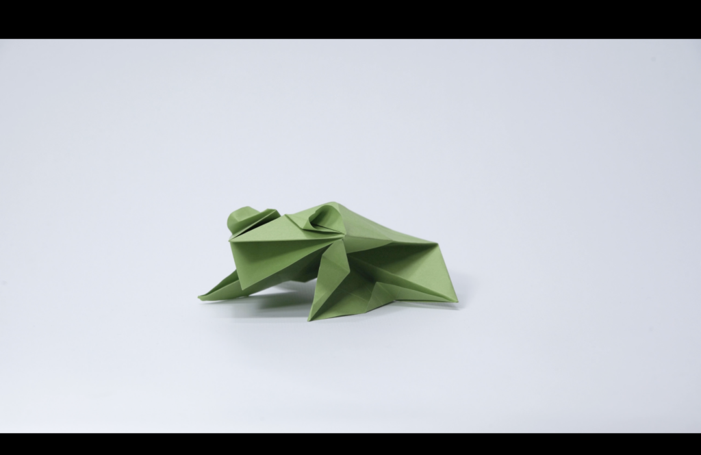 The Toad - Museum TV